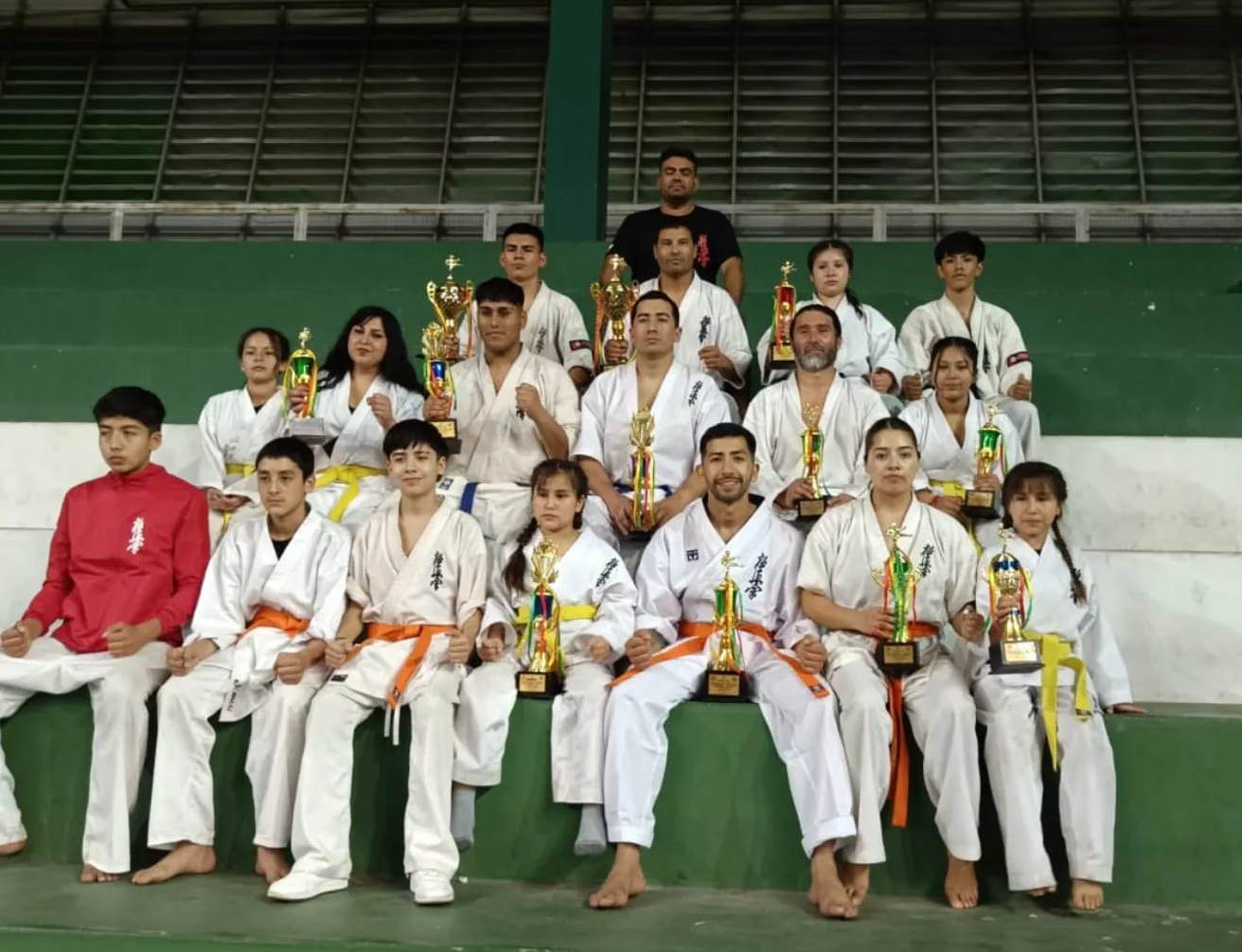 Karatecas Copiapinos de la Escuela de Karate Kyokushin realizan ...